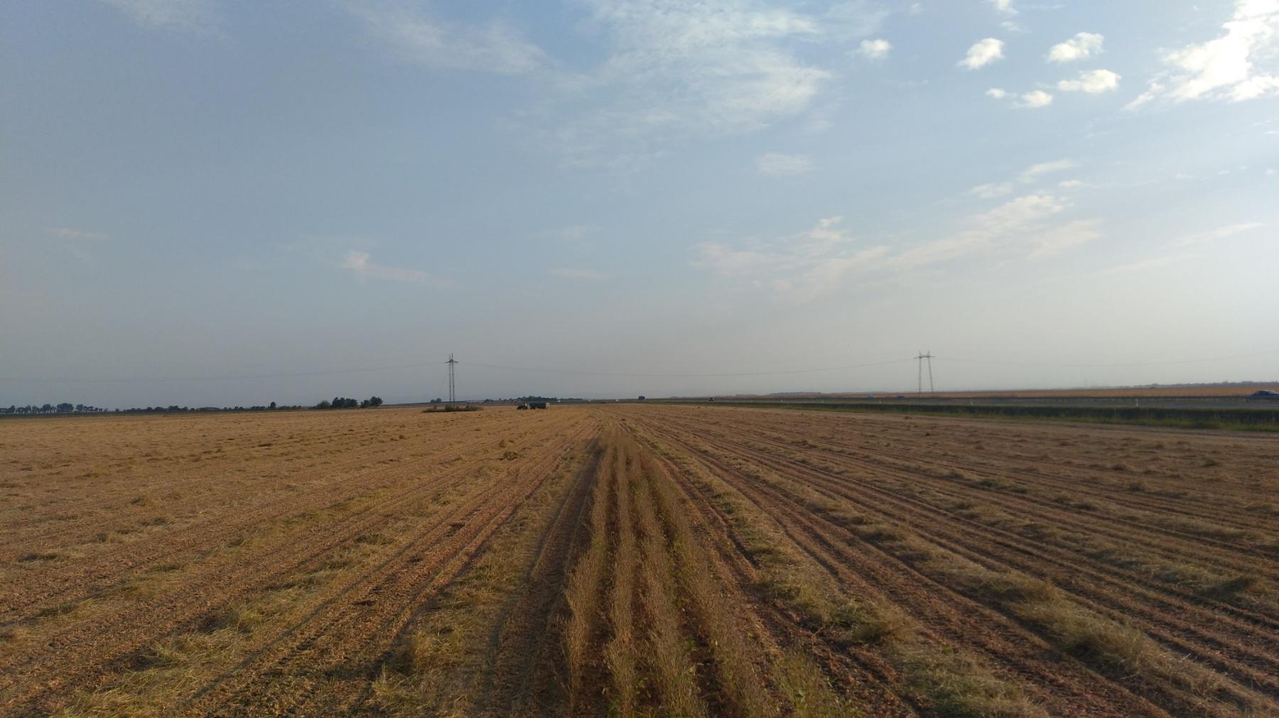 Backo Dobro Polje, Kischker, Kisker, Donauschwaben, Altker, Zmajevo, Bulkes